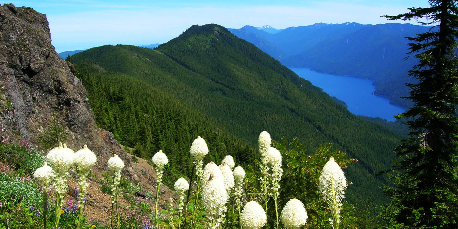 Get Outside! Mount Muller | Cascadia Magazine