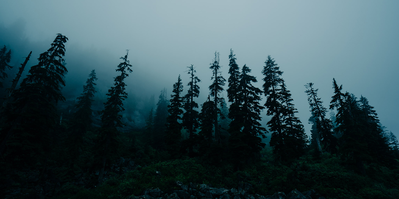 Inauguration Day | Cascadia Magazine